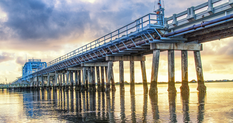 SCIWAY: South Carolina's Front Door